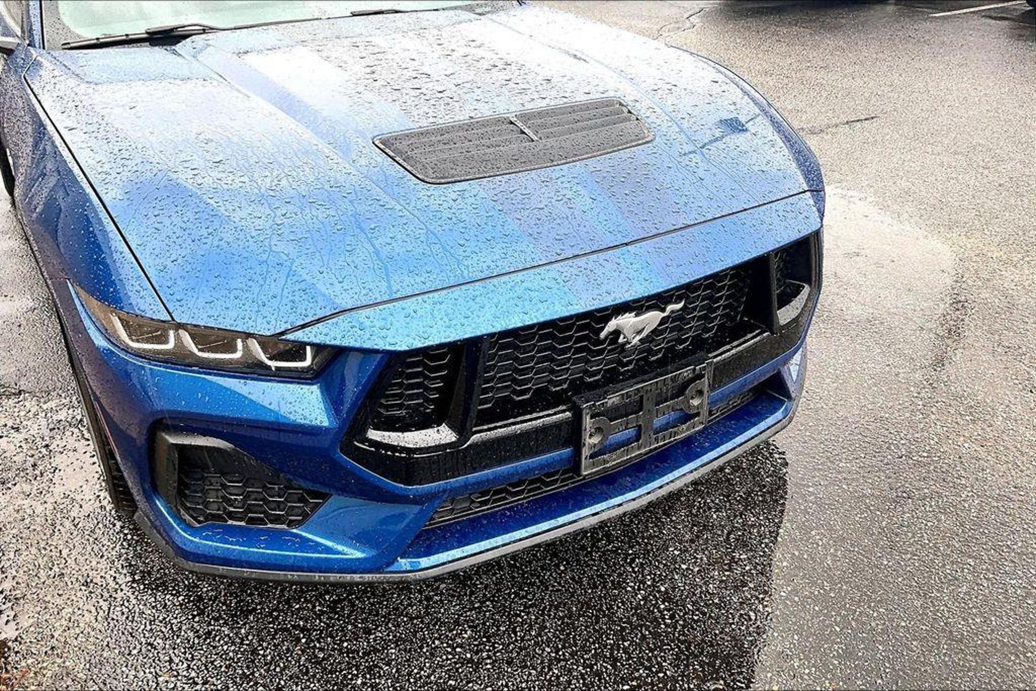 2024 Ford Mustang GT Premium 2DR Fastback For Sale in Olive Branch, MS