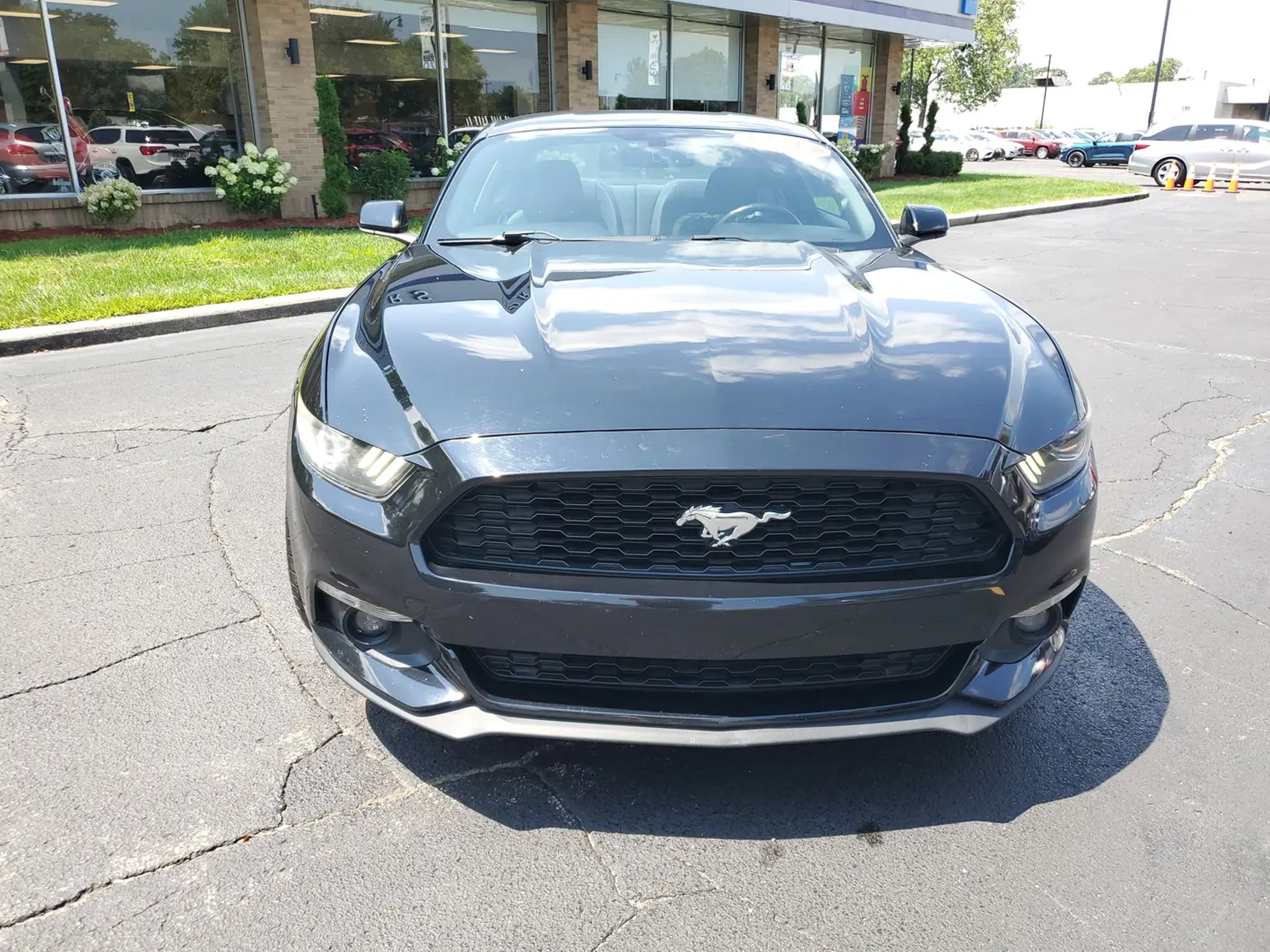2017 Ford Mustang Ecoboost 2DR Fastback For Sale in Taylor, MI